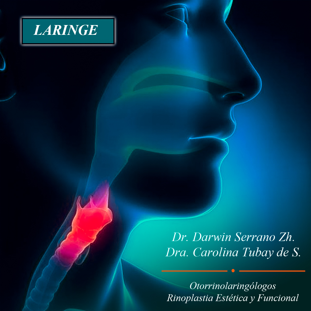 La Laringe » ORL FACE